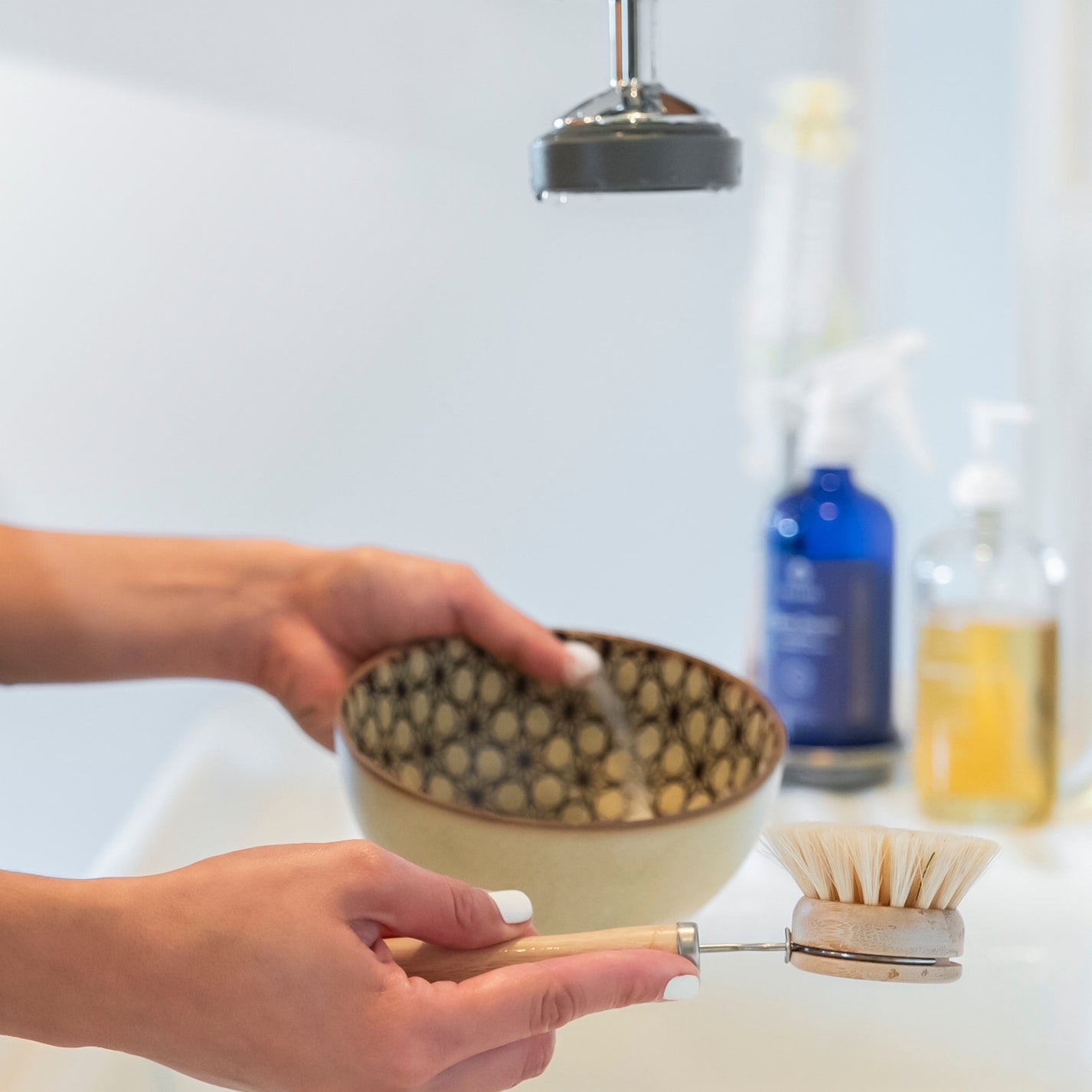 Clean Plate Club - Dish Soap – Fillaree