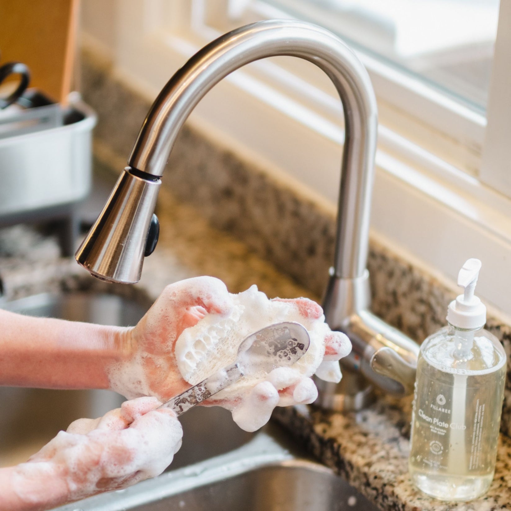Clean Plate Club - Dish Soap – Fillaree